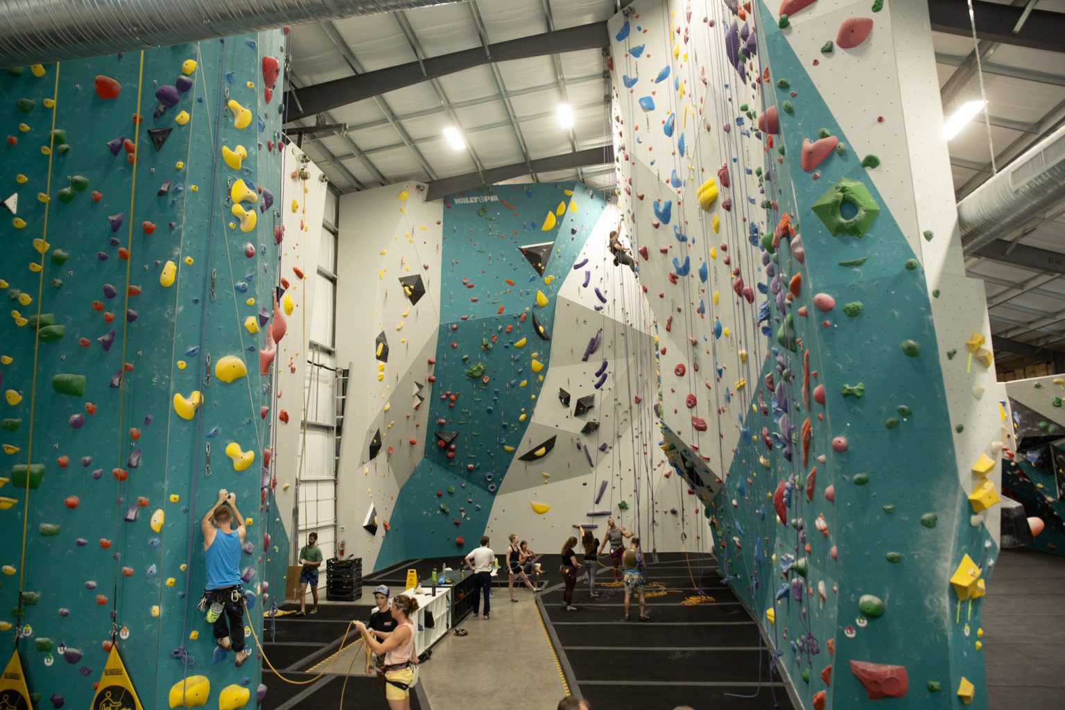 Rock Climbing Gym in Norfolk, VA